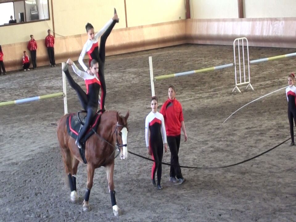 Centre Equestre les Plaines - La Voltige