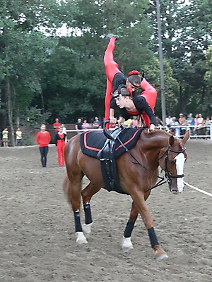 Centre Equestre les Plaines - La Voltige